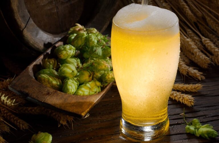 How to Build a Kegerator DIY - Step-By-Step Guide - True Beer