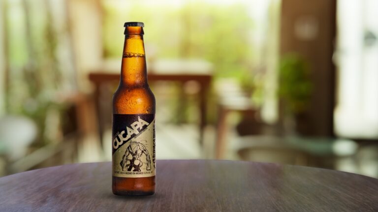10 Best Mexican Beer Brands You May Like 2023 - Brewed with Passion