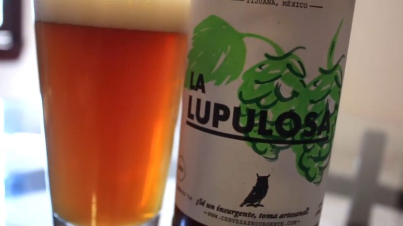 10 Best Mexican Beer Brands You May Like 2023 - Brewed with Passion