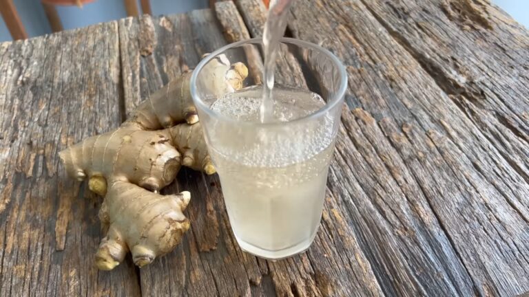Ginger Beer vs Ginger Ale: Battle of the Bubbles! - True Beer